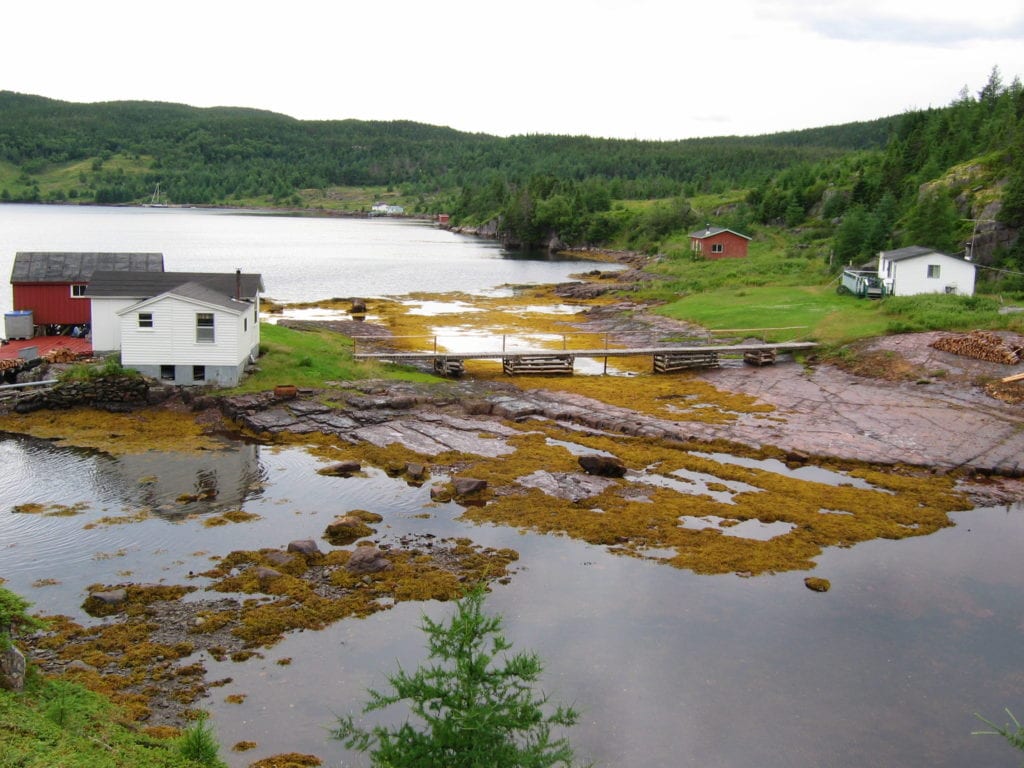 7 Must Do Things in Canada | Must Do Canada