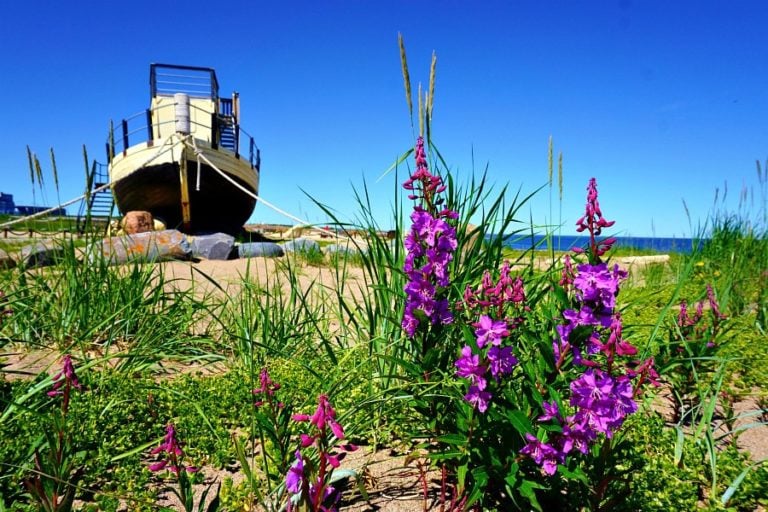 84 Interesting Manitoba Facts - Must Do Canada