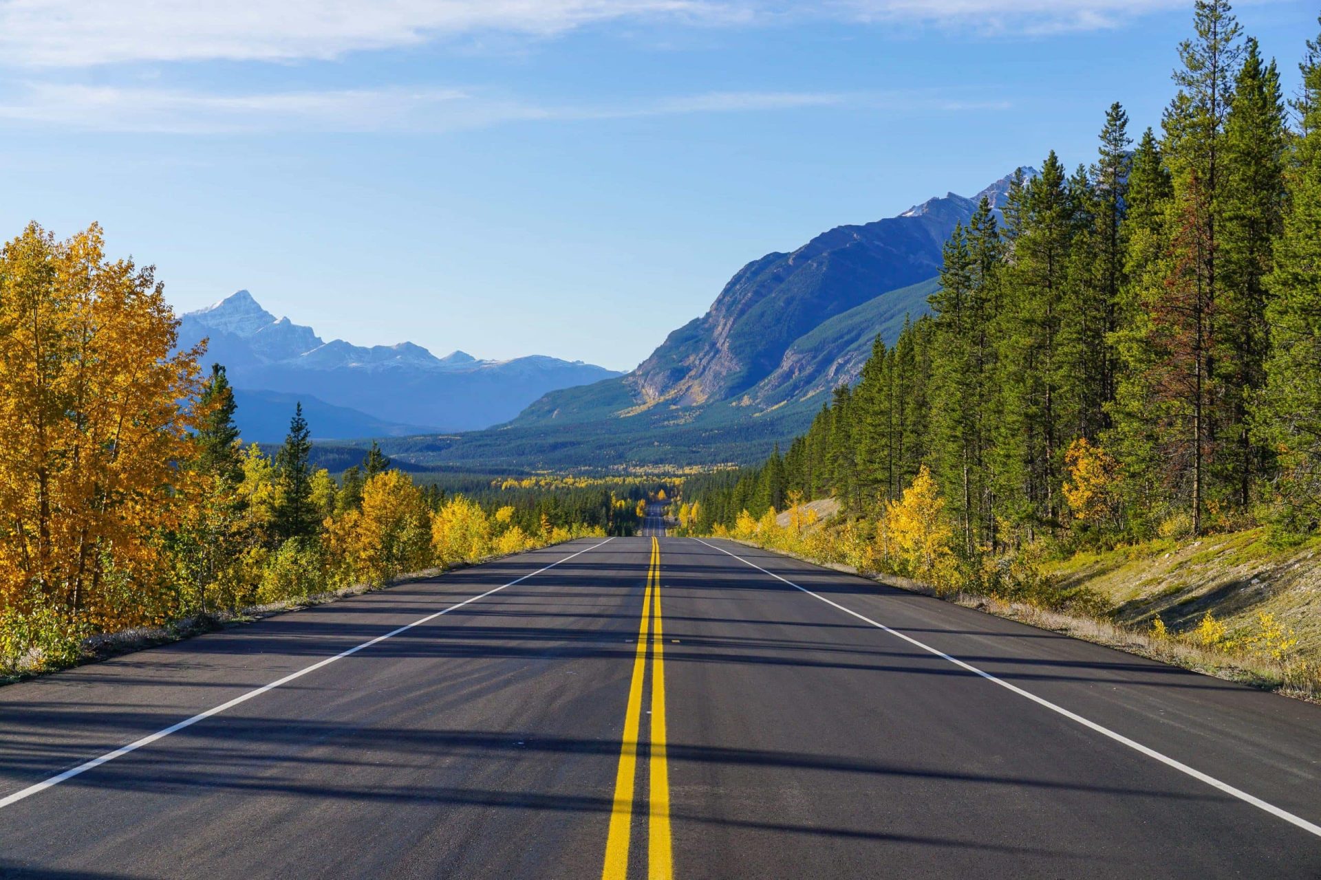 32 of the Best Road Trip Essentials - Must Do Canada