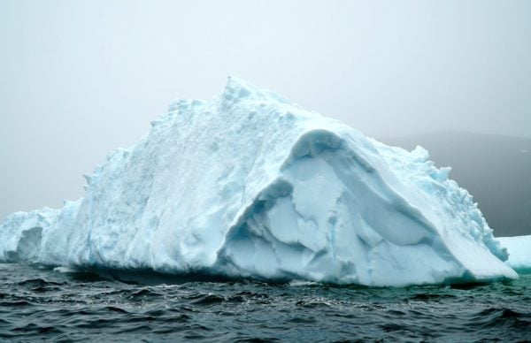 Experiencing Newfoundland's Iceberg Festival - Must Do Canada