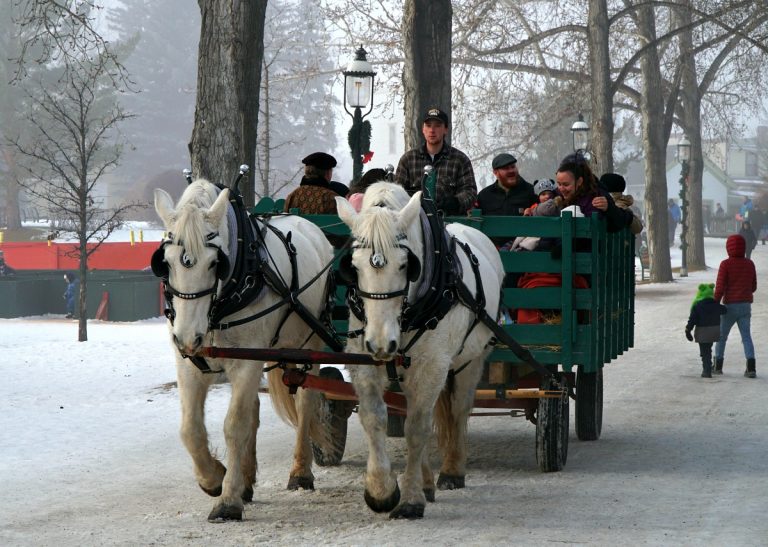 Calgary in the Winter (29 Things to Do) - Must Do Canada