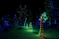 9 Ways to Enjoy Christmas in Calgary - Must Do Canada
