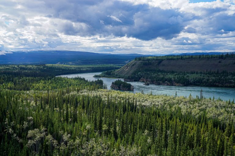 39 of the BEST Things To Do In The Yukon - Must Do Canada