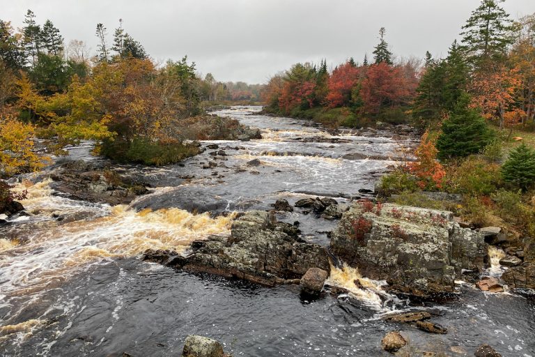 49 Things to Do in Eastern Shore Nova Scotia - Must Do Canada