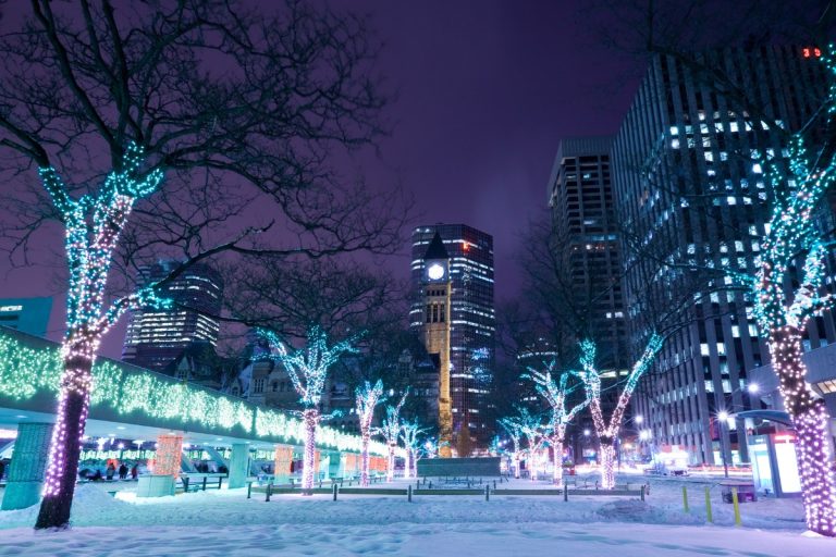 24 Fun Things to Do in Toronto in the Winter - Must Do Canada