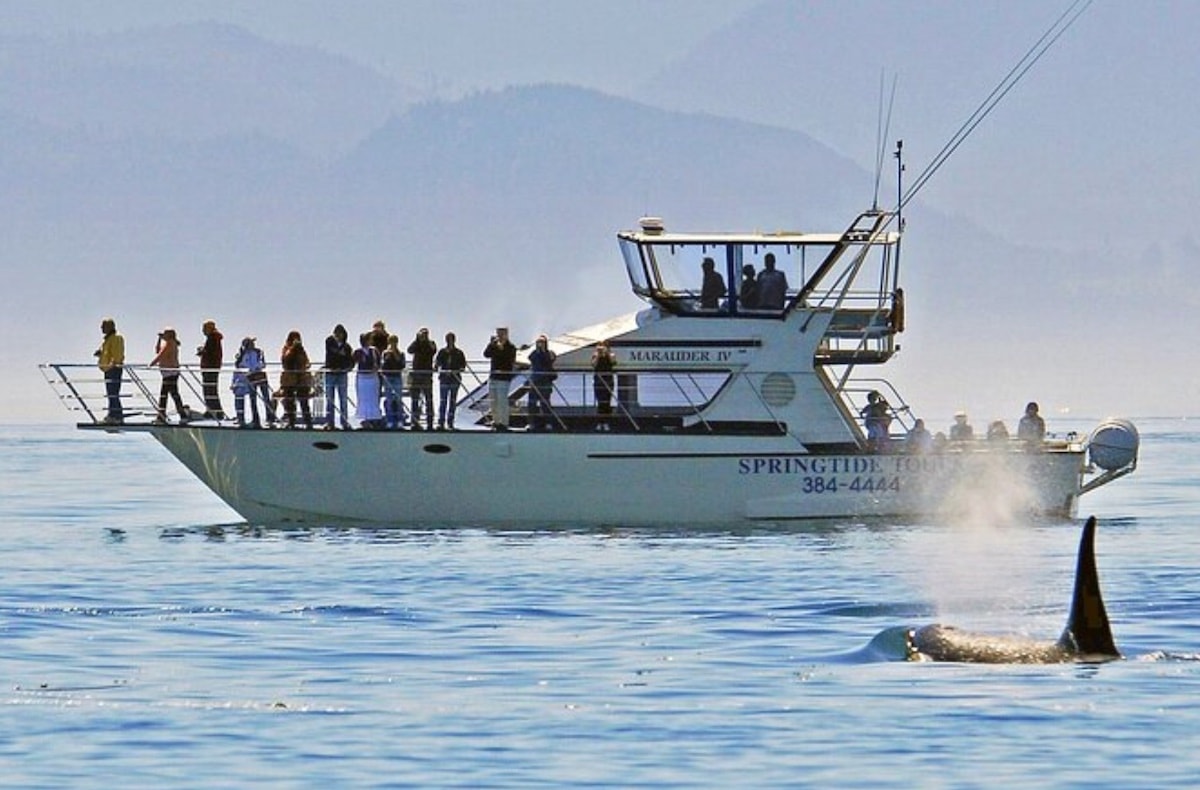 16 of the Best Victoria Tours - Must Do Canada