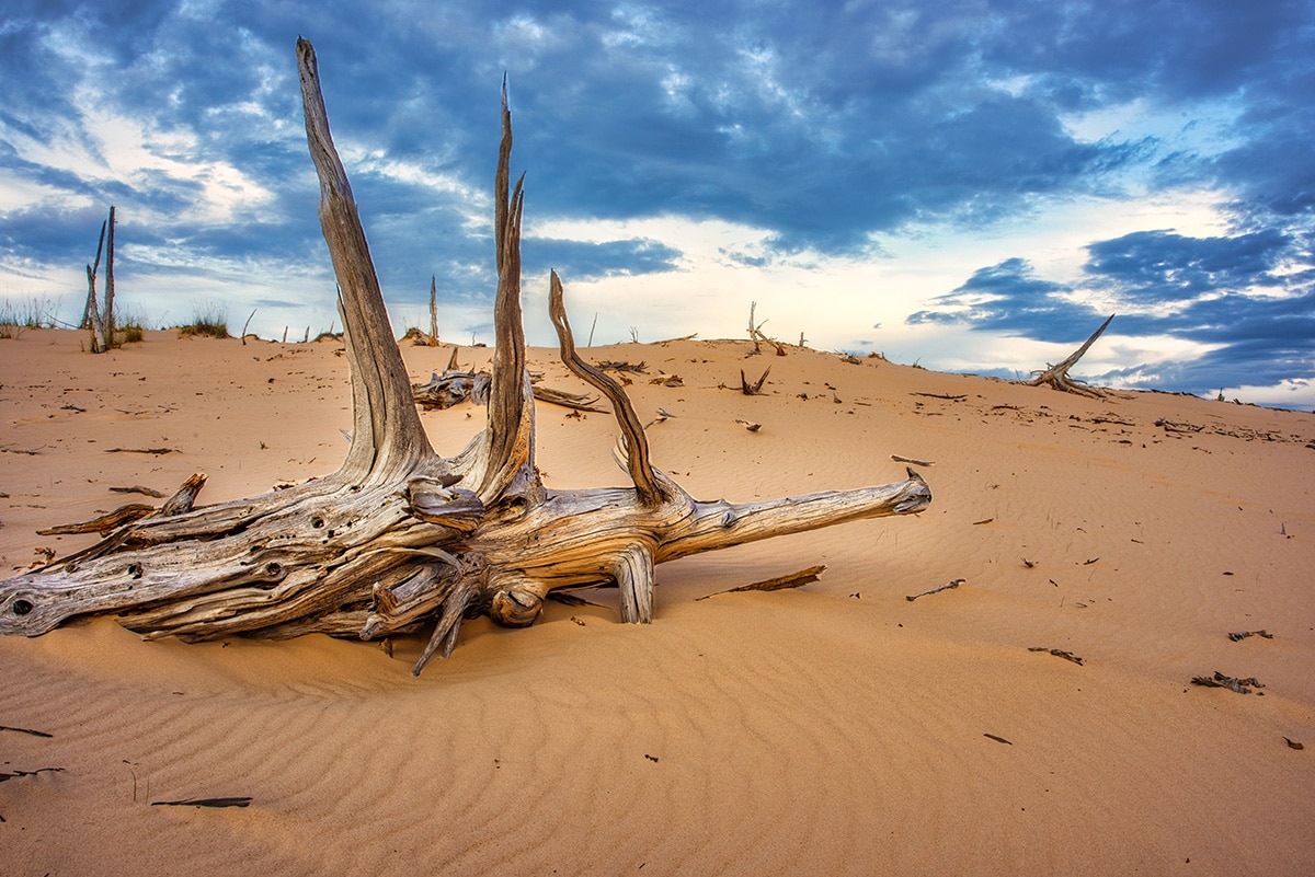Four Saskatchewan Sand Dunes You Must Visit - Must Do Canada