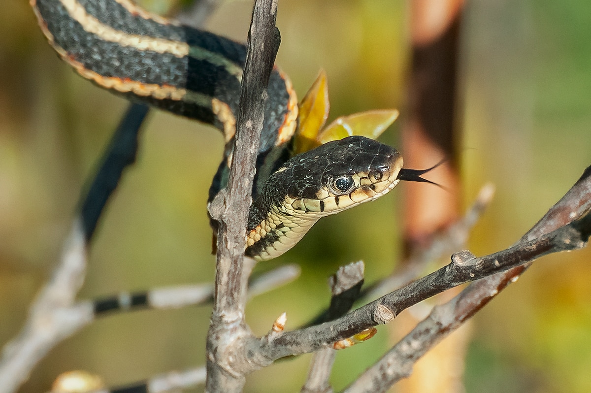 7 Unique Places to Visit in Saskatchewan - Must Do Canada