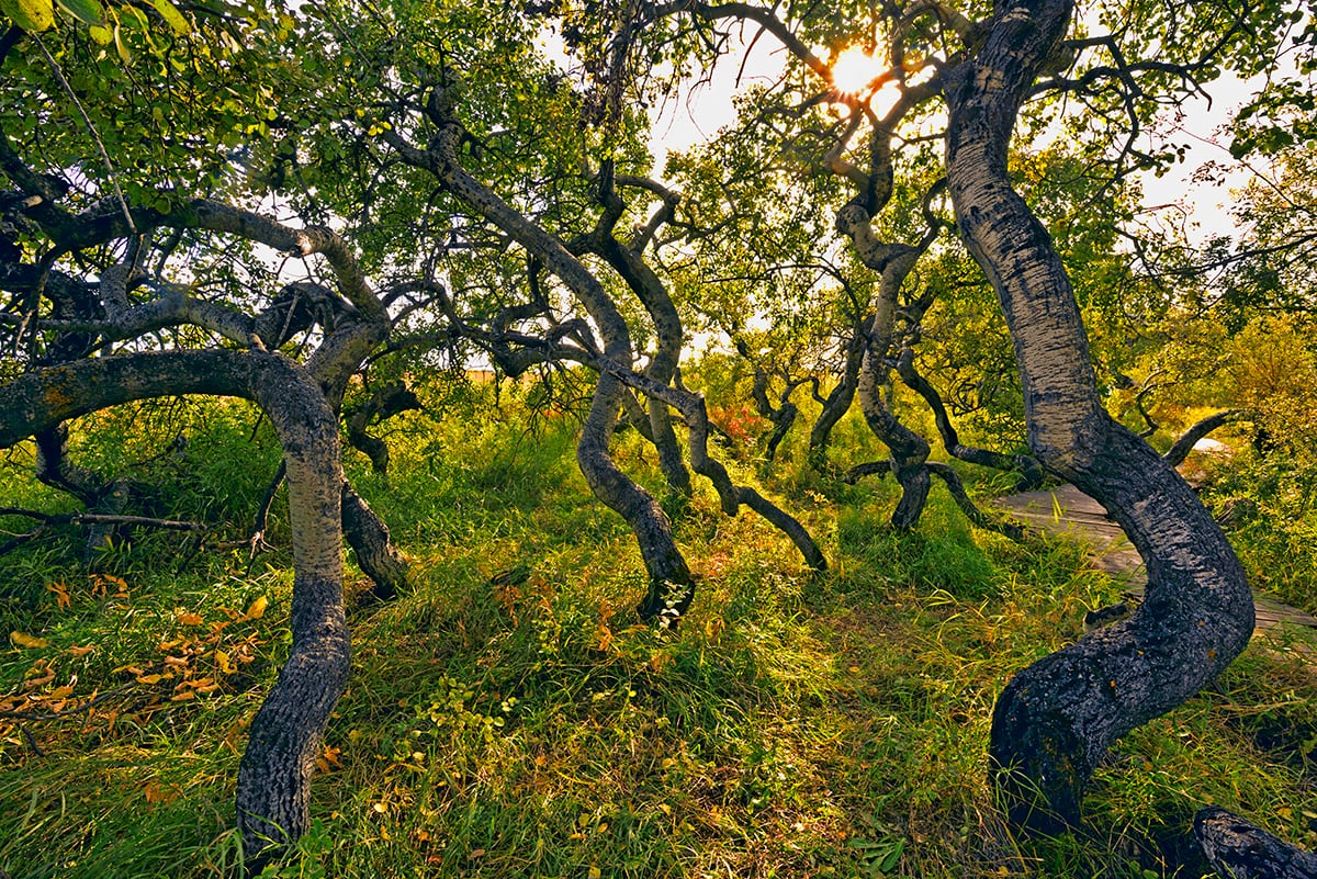 7 Unique Places to Visit in Saskatchewan - Must Do Canada