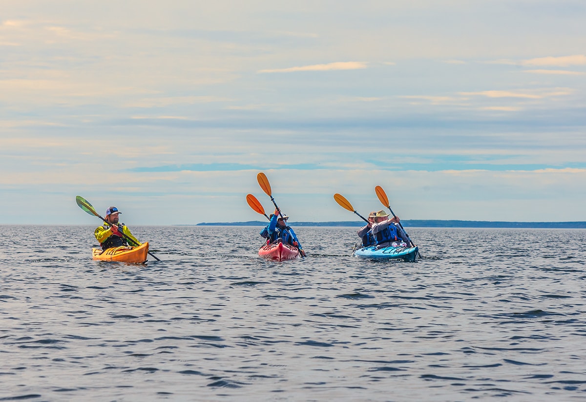 Top 10 Things to Do in Forillon National Park - Must Do Canada
