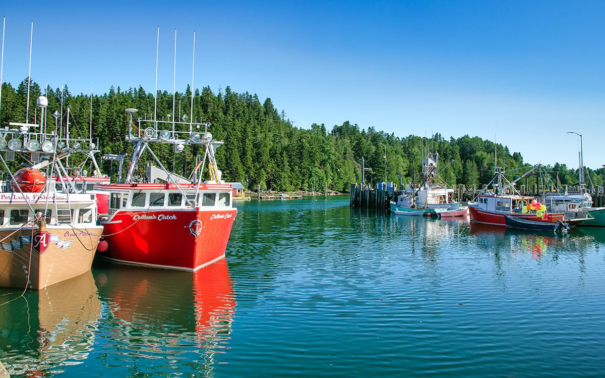 The Best Things to Do on Campobello Island, New Brunswick - Must Do Canada