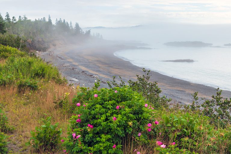 The Best Things to Do on Campobello Island, New Brunswick - Must Do Canada