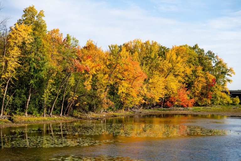 12 Great Things to Do in Laval - Must Do Canada