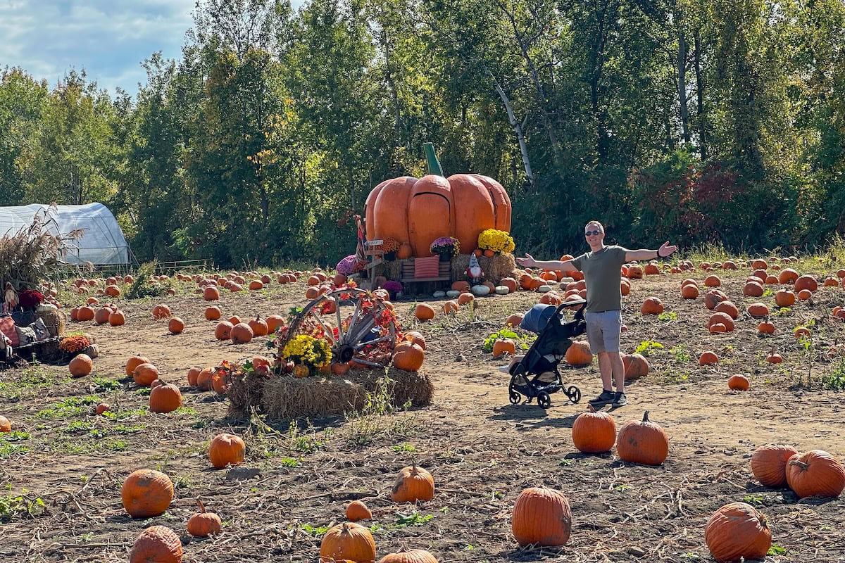 12 Great Things to Do in Laval - Must Do Canada