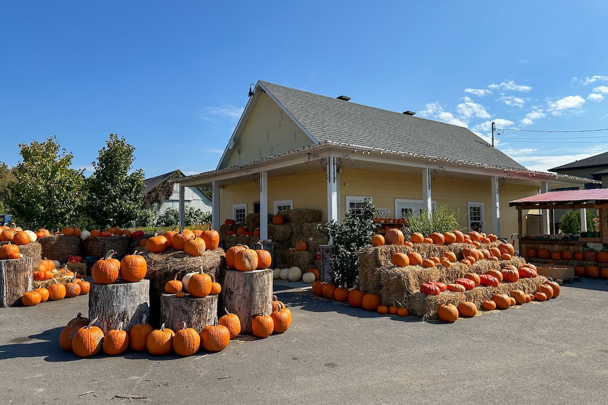 12 Great Things to Do in Laval - Must Do Canada