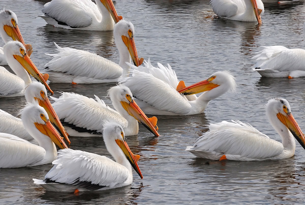 Best Places to Go Camping in Saskatchewan - Must Do Canada