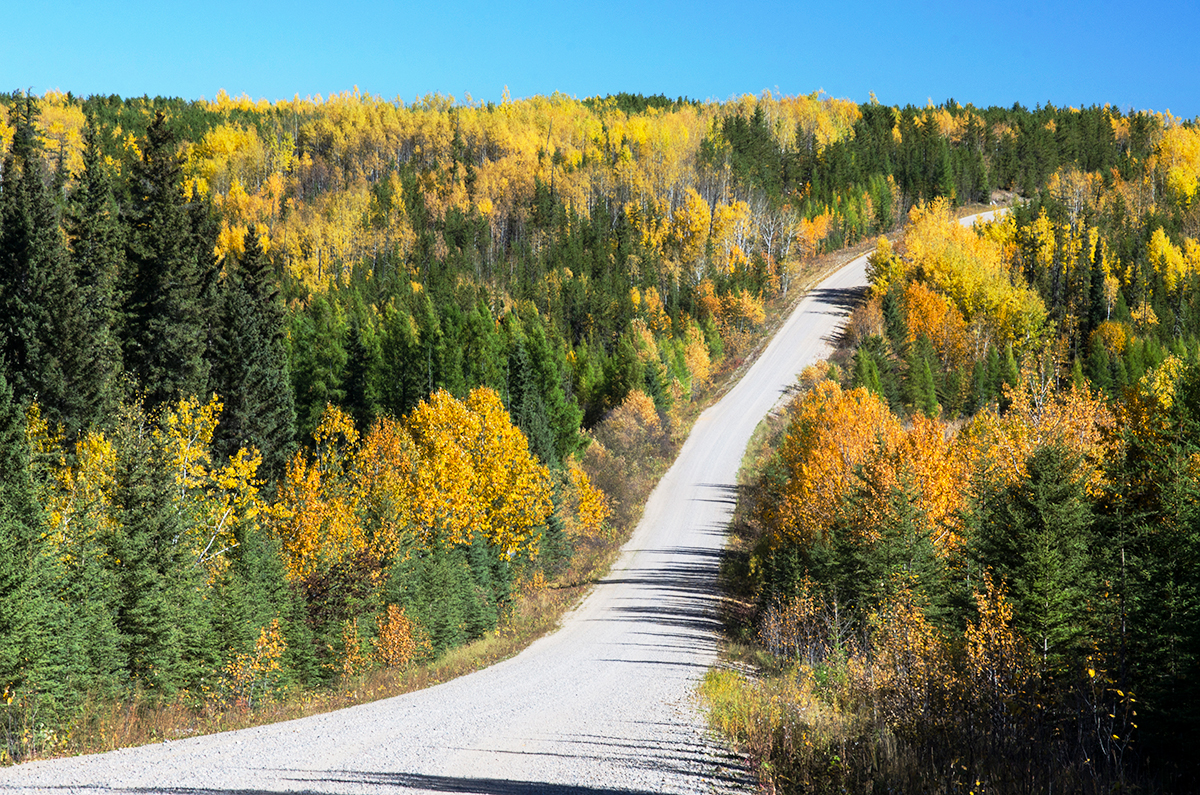 8 Places to Find the Best Fall Colours in Saskatchewan - Must Do Canada