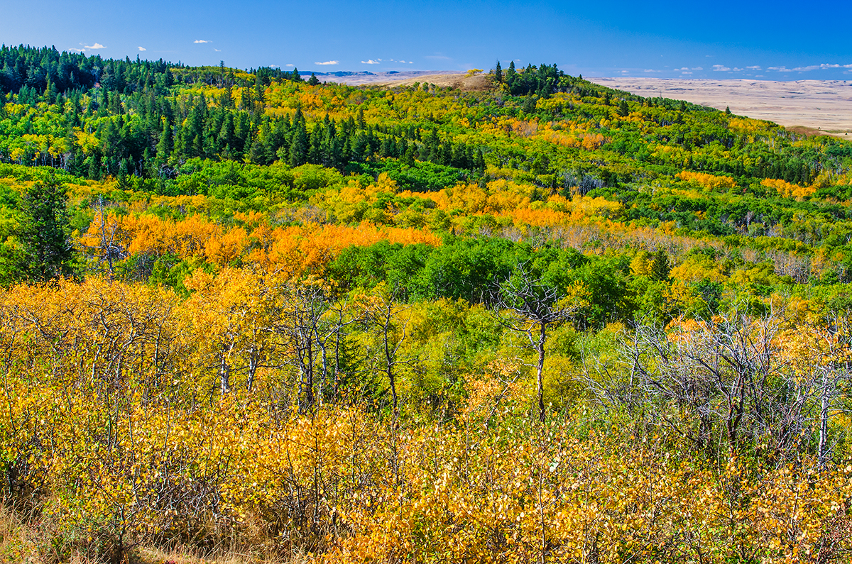 8 Places to Find the Best Fall Colours in Saskatchewan - Must Do Canada