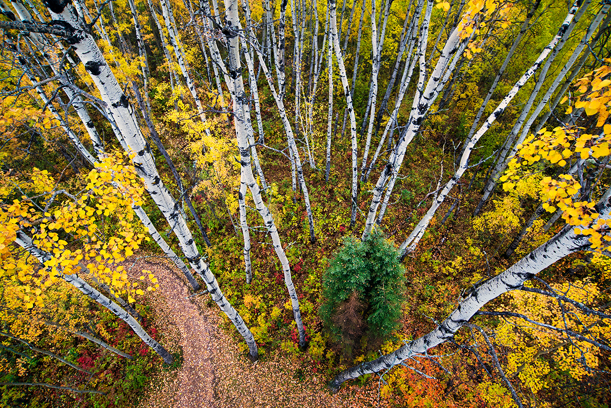 8 Places to Find the Best Fall Colours in Saskatchewan - Must Do Canada