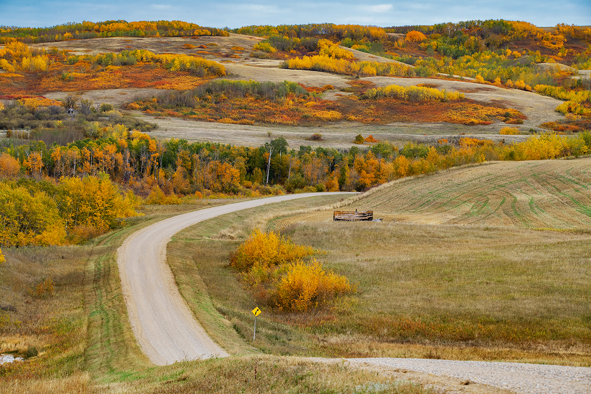 8 Places to Find the Best Fall Colours in Saskatchewan - Must Do Canada