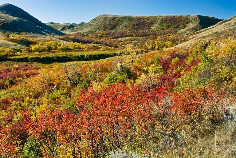 8 Places to Find the Best Fall Colours in Saskatchewan - Must Do Canada